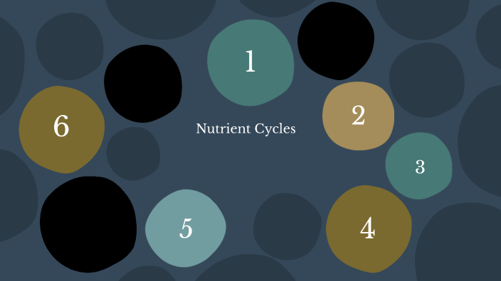 Nutrient Cycles by Derrick Cockman on Prezi