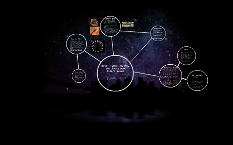 Bat Loves The Night by Lorin Wathen on Prezi
