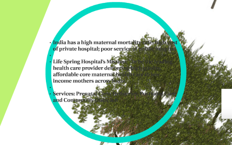 Life Spring Maternity Hospital by Jie LI on Prezi