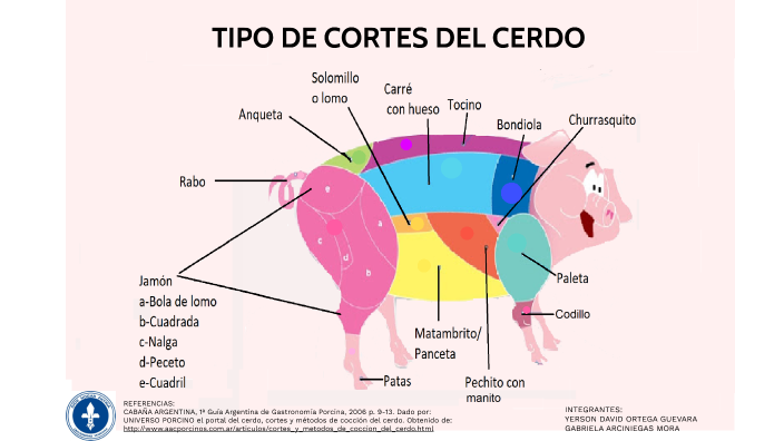 Tipo de cortes del cerdo by GABRIELA ARCINIEGAS MORA on Prezi