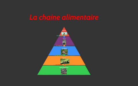 La chaine alimentaire by bouveret sabine on Prezi