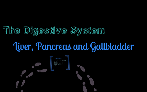 The digestive system by Elisa Colombini on Prezi