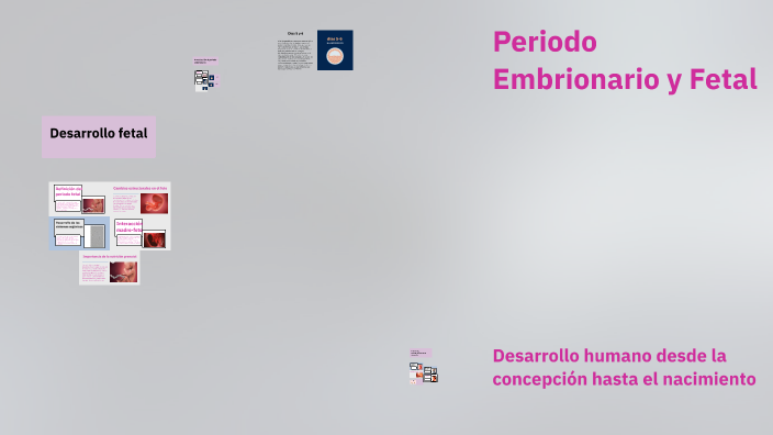 Periodo Embrionario y Fetal by FATIMA QUEZADA TORRES on Prezi