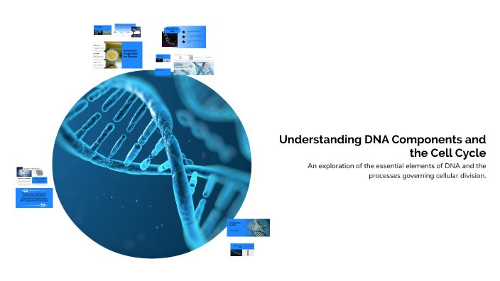 Understanding DNA Components and the Cell Cycle by Clare Cunningham on ...