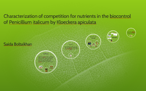 Characterization of competition for nutrients in the biocont by saida ...