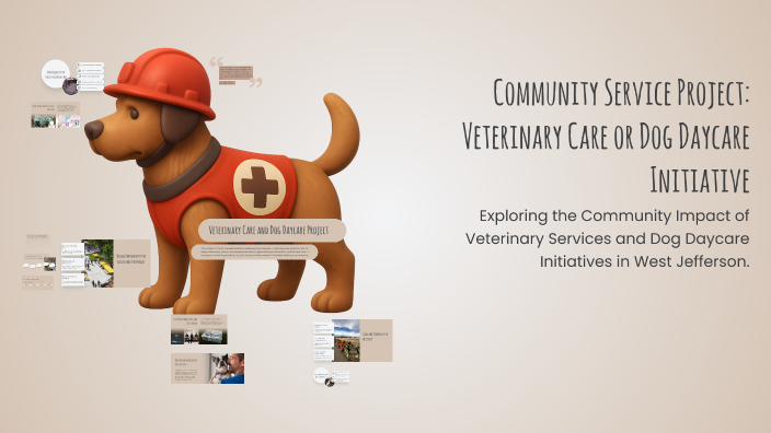 Community Service Project: Veterinary Care or Dog Daycare Initiative by ...