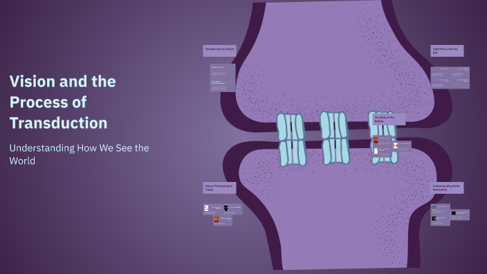 Vision and the Process of Transduction by Mickaila Nicole Tumbokon on Prezi