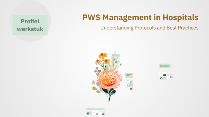 PWS Management in Hospitals by Anuska Fleerakkers on Prezi