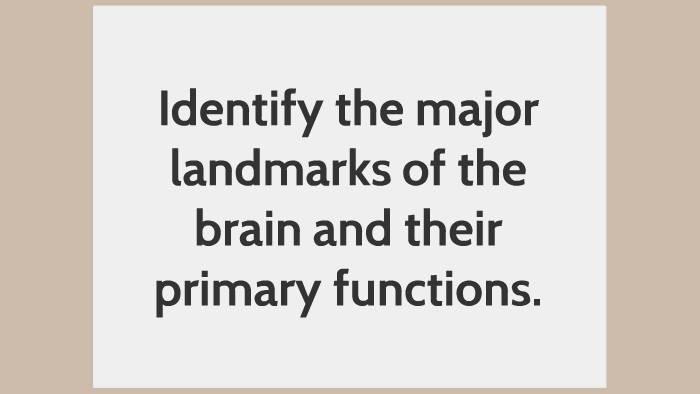 Identify the major landmarks of the brain and their primary by Alexys ...