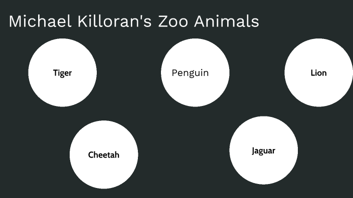 Zoo Animals, Michael Killoran by Michael Killoran on Prezi