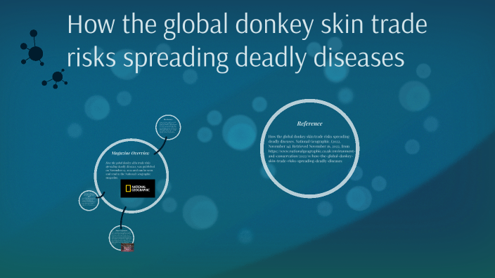 How he Globale donkey skin trade risks spreading deadly diseases by ...