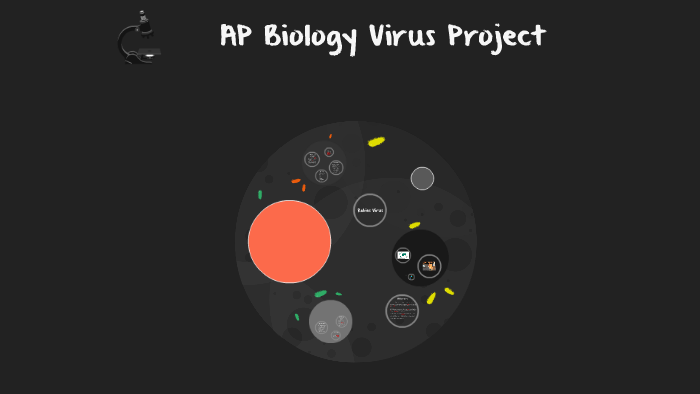 AP Biology Virus Project by Cat Barnard