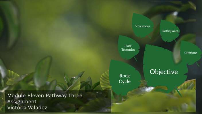 Valadez_Module Eleven Pathway Three Assignment by Victoria Valadez on Prezi