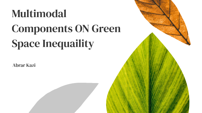 Exploring Multimodal Components by Abrar kazi on Prezi