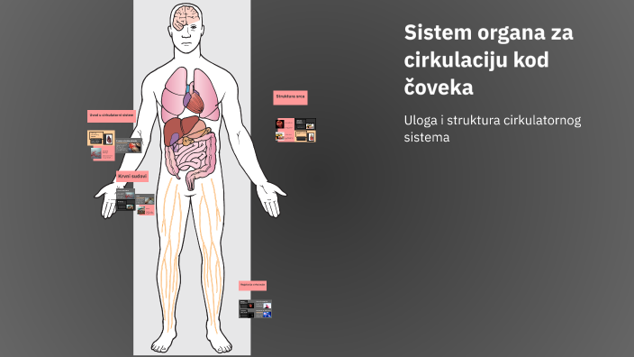 Sistem organa za cirkulaciju kod čoveka by Sara Jovanovic on Prezi