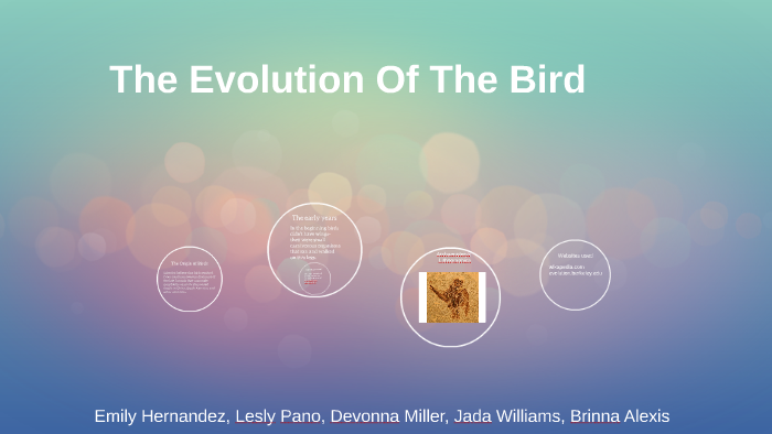 The Evolution Of The Bird by Emily Hernandez on Prezi