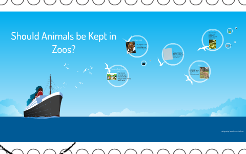 Should animals be kept in zoos? by on Prezi