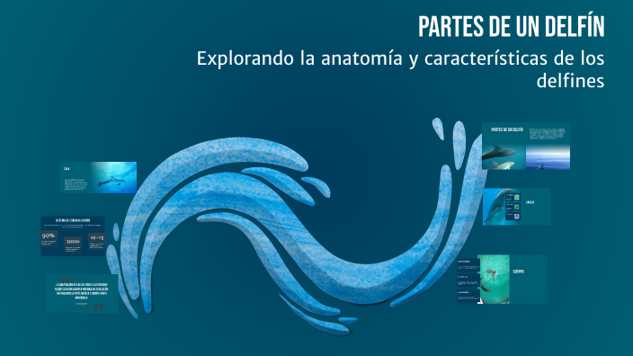 Partes de un Delfín by Juan Jesus Cardenas Pech on Prezi
