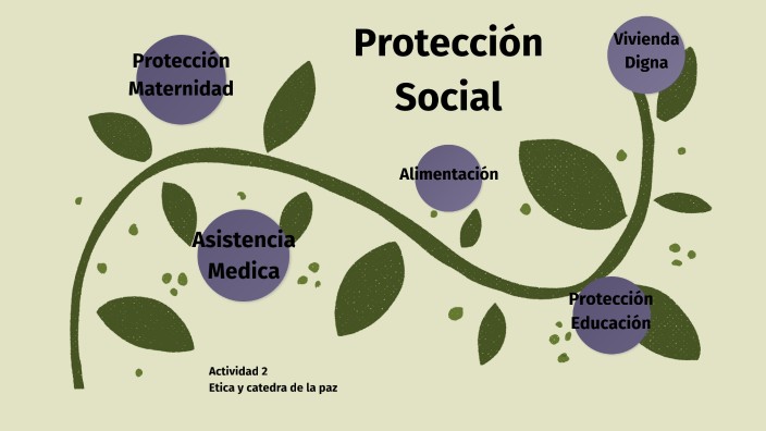 protección social by Manuela Callejas castro on Prezi