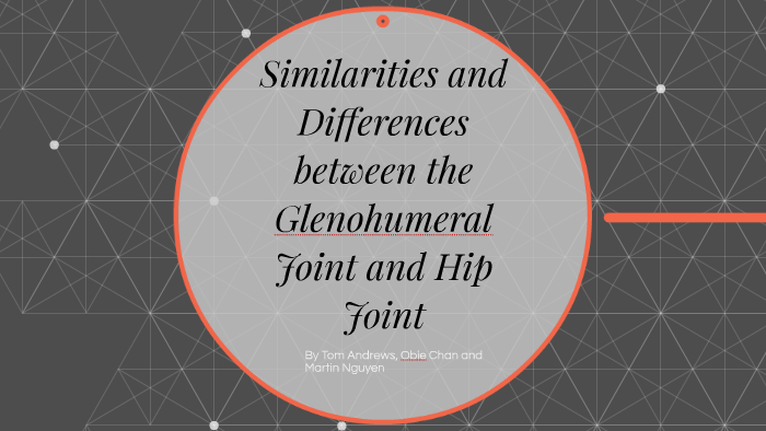 Similarities and Differences between the Glenohumeral Joint by Obie ...
