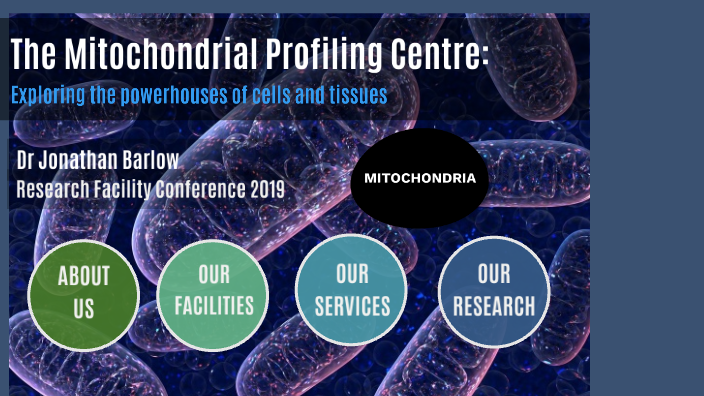 The Mitochondrial Profiling Centre Exploring The Powerhouses Of Your