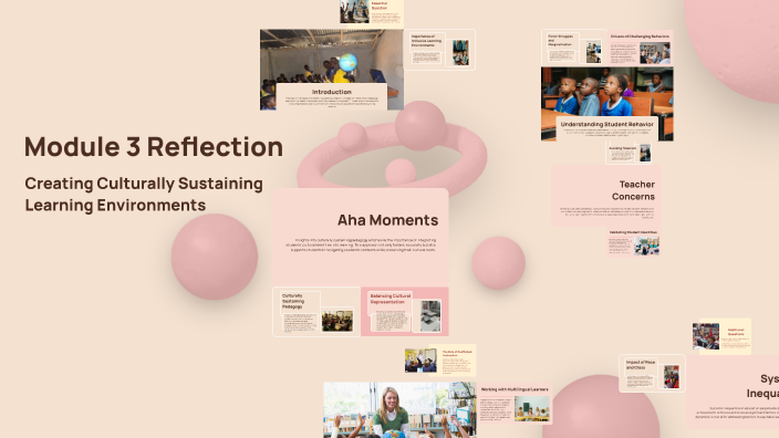 Module 3 Reflection: Cultivating Inclusive Classrooms by Shaylee Patel ...