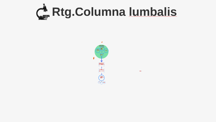 Columna lumbalis by jonas knudsen on Prezi