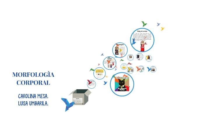 MORFOLOGIA CORPORAL by luisa f umbarila c on Prezi