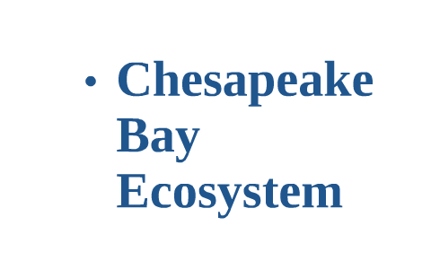 Chesapeake Bay Ecosystem by Tayla O'Brien on Prezi
