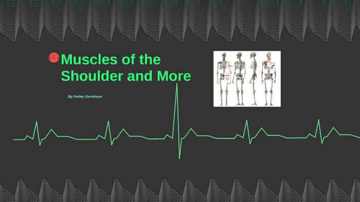 Muscles of the Shoulder by Hailey Danielson on Prezi