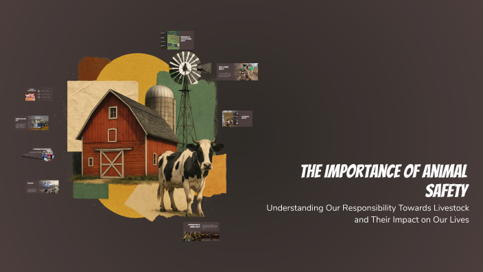 The Importance of Animal Safety by Kelsie Selkregg on Prezi