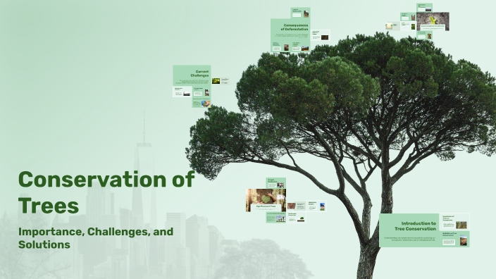 Conservation of Trees by Mahidhar on Prezi