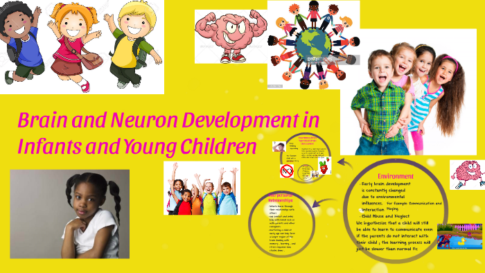 Brain and Neuron Development in Infants and Young Children by Deosha ...