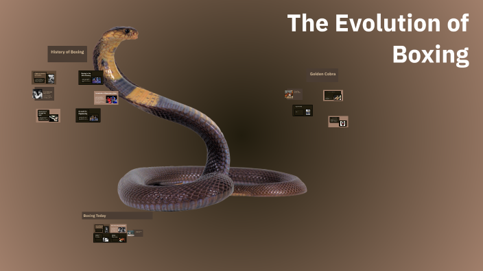 The Evolution of Boxing by andrei vlad on Prezi