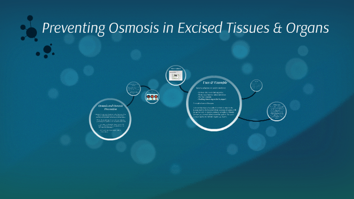 Preventing Osmosis in Excised Tissues/Organs by Rebecca Caruso on Prezi