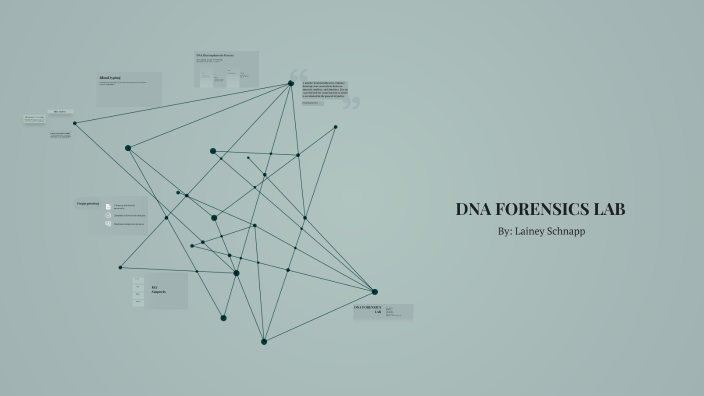 Understanding the Murder Board: A Tool for Crime Investigation by ...