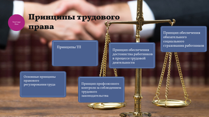Принципы ТП, Дроздова by Maria Drozdova on Prezi