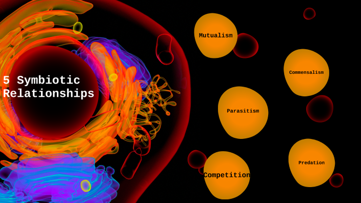 Symbiosis by on Prezi