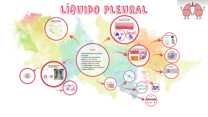 LÍQUIDO PLEURAL by Agueda Aleyois López Borrás on Prezi