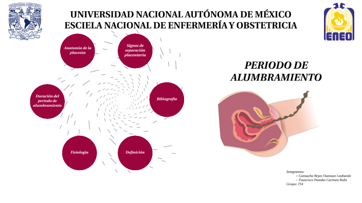 Periodo de alumbramiento by Francisco Paredes Carmen Rubí on Prezi