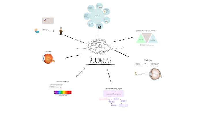 De Ooglens by Amélie Van dael on Prezi