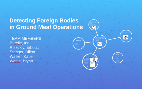 Detecting Foreign Bodies in Ground Meat Operations by Dillon Stanger on ...