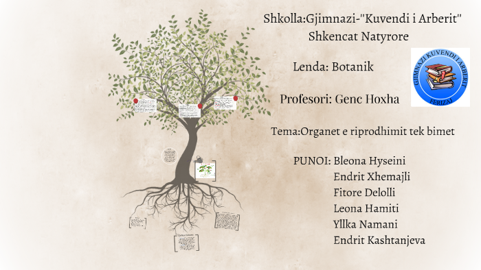 Organet e riprodhimit te bimet by bleona hyseni on Prezi