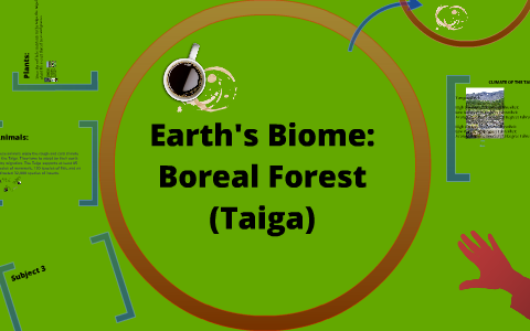 Earth's Biome: Boreal Forest (Taiga) by Tucker Mathis on Prezi