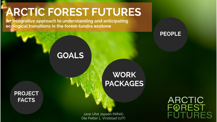 AFF summary brief by Jane Jepsen on Prezi