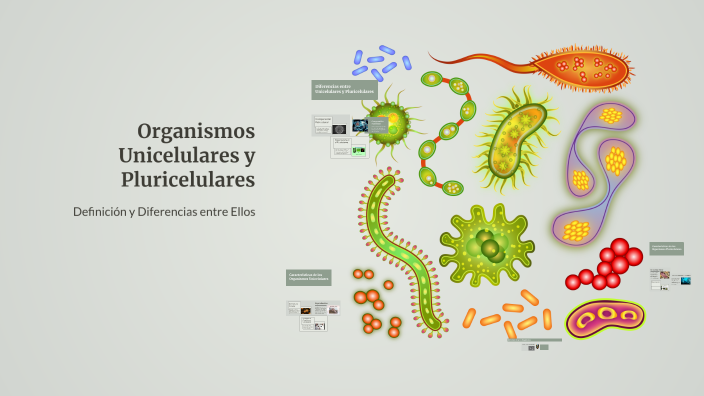 Organismos Unicelulares y Pluricelulares by Eduardo de León Rivera on Prezi