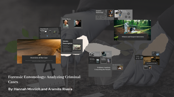 Forensic Entomology: A Detailed Case Study by Hannah Minnich on Prezi