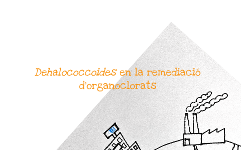 Dehalococcoides en la remediació d'organoclorats by Sergi Ro on Prezi