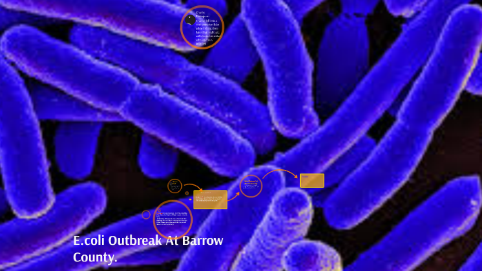 E.coli Outbreak at Barrow County by Briggs Engelmann on Prezi