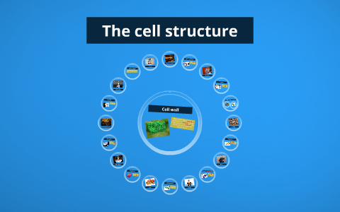 The cell structure by kevin park on Prezi